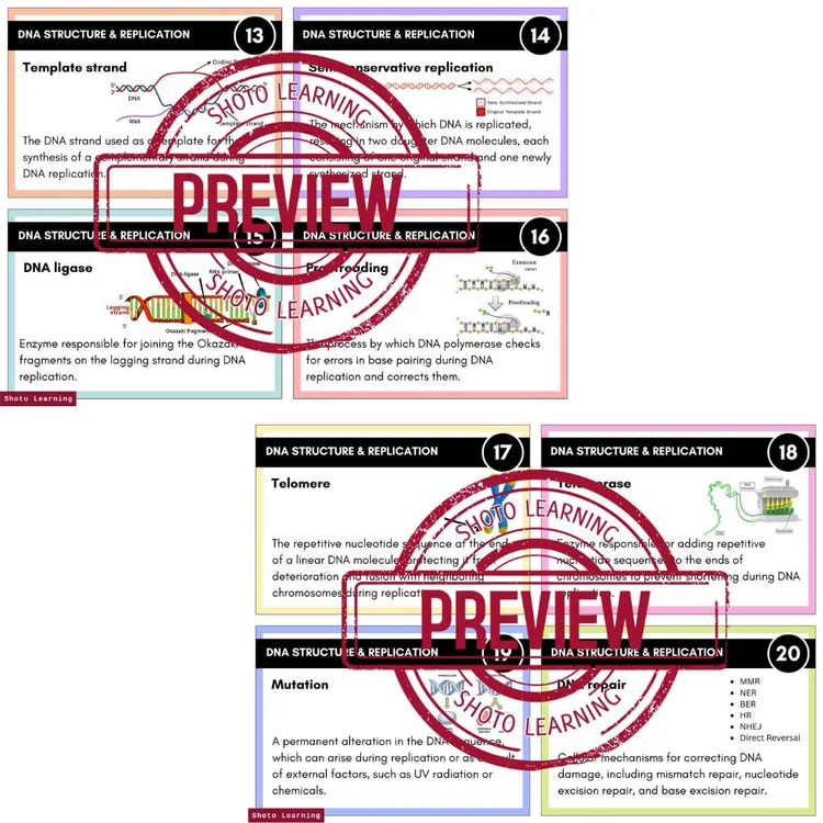 DNA Structure Worksheet: Engaging Exercises with Answers