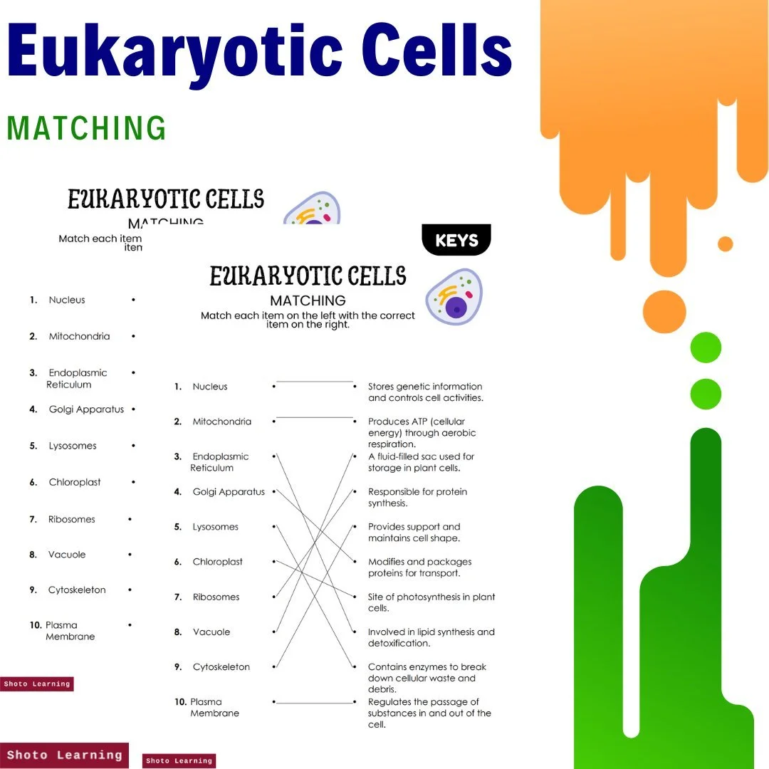 Cellular Wonders: Eukaryotic Cells PowerPoint & Speech Package