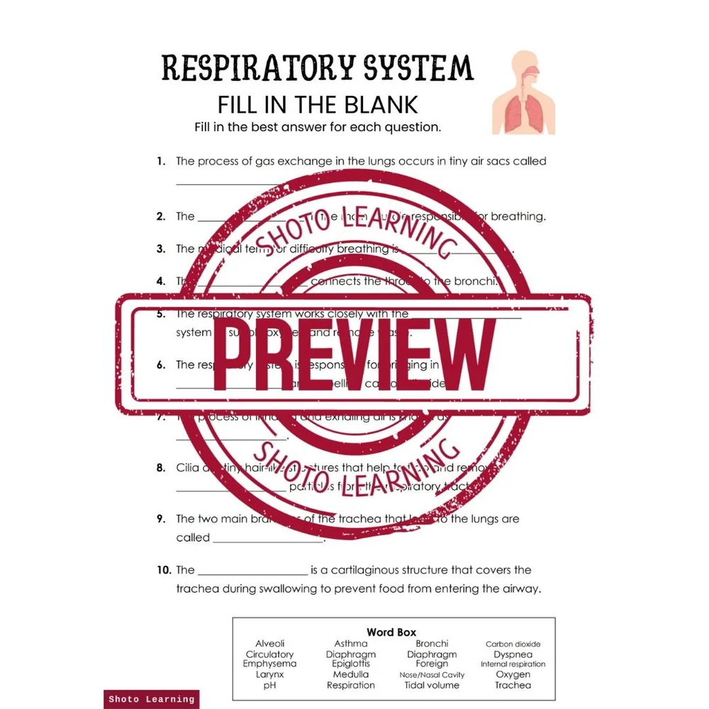 Respiratory System Diagram: Fill in the Blanks and Learn