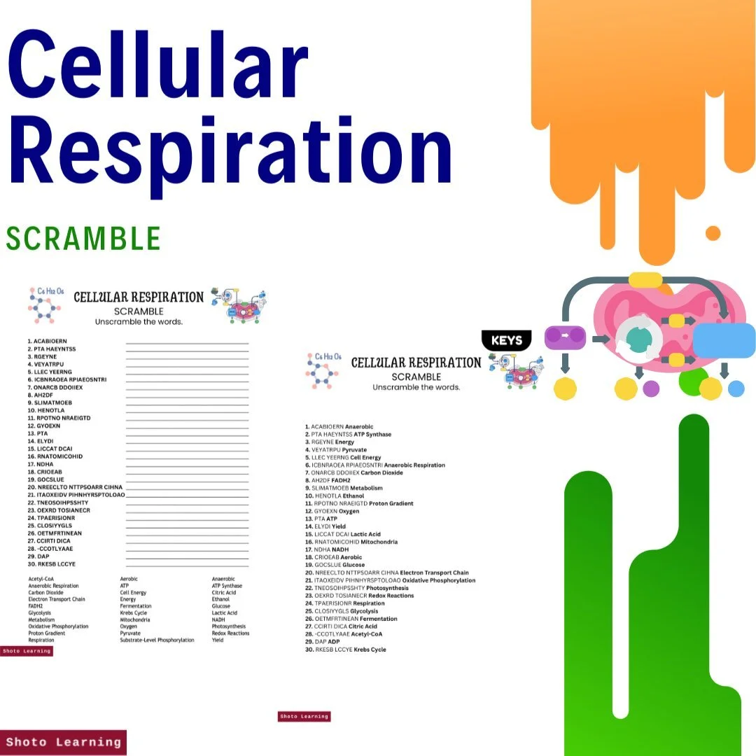 Cellular Respiration Worksheet with Word Box | Grades 6-12