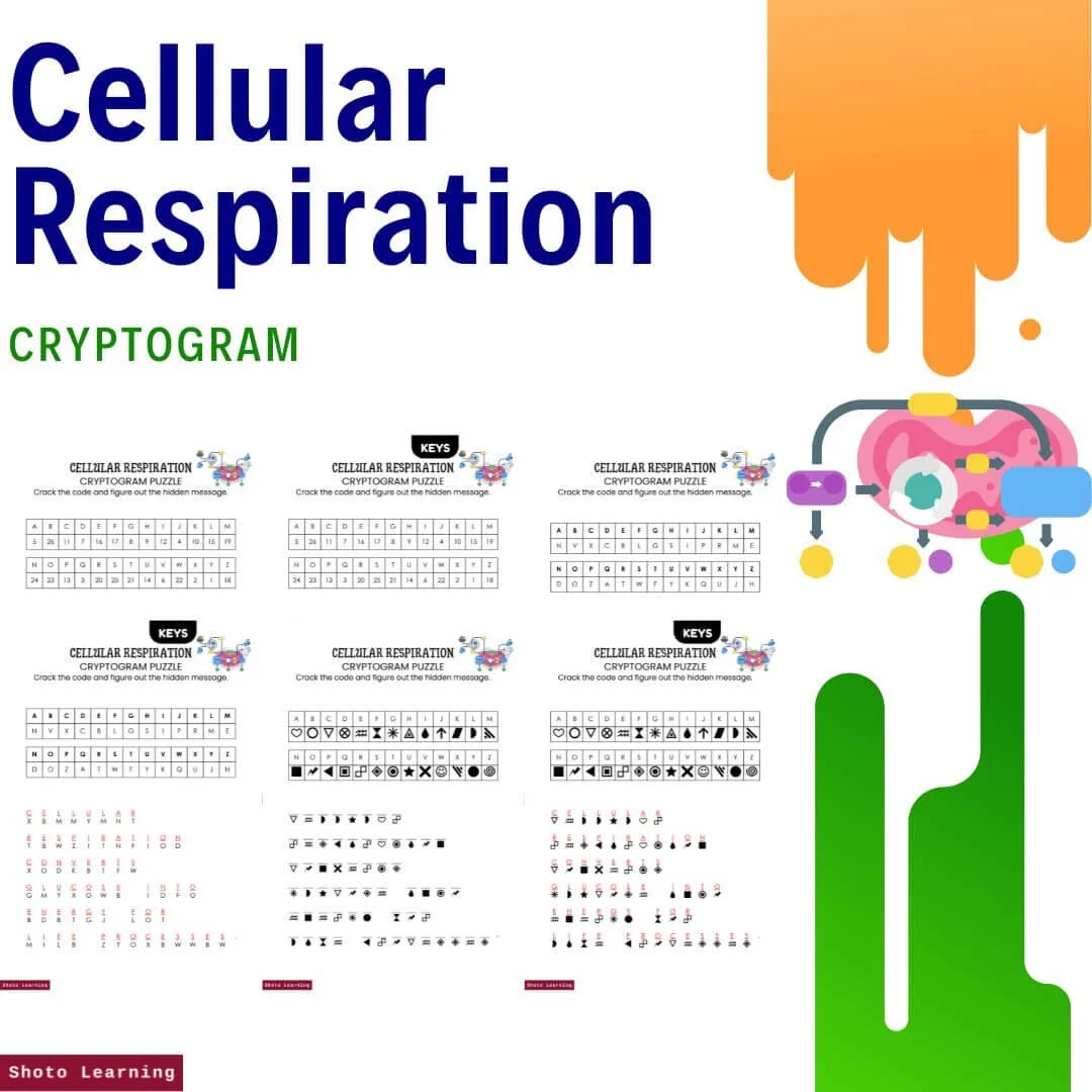 Cellular Respiration Cryptogram Puzzle – Fun Biology Worksheet