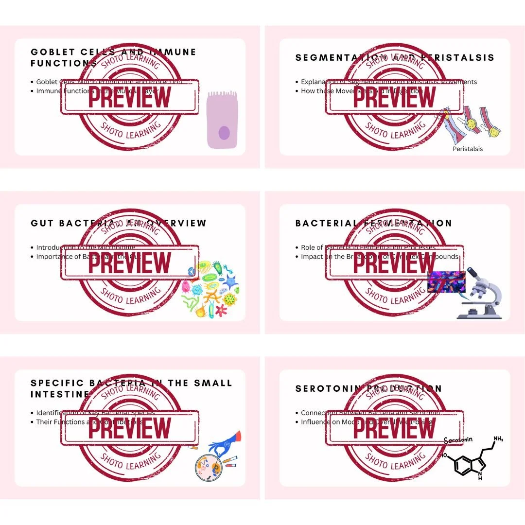 Small Intestine Worksheets: Anatomy & Bacteria Dynamics