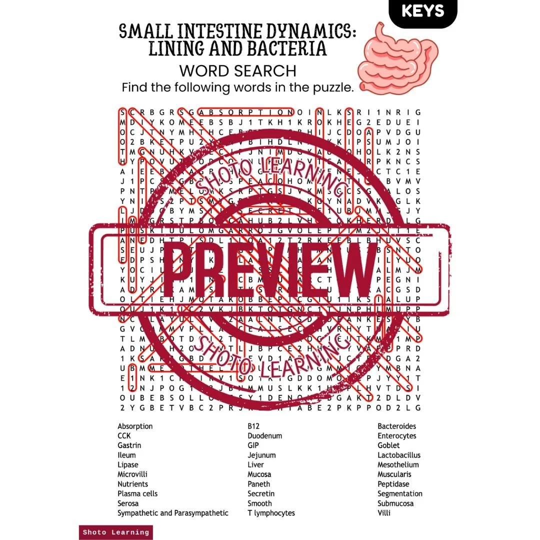 Small Intestine Worksheets: Anatomy & Bacteria Dynamics