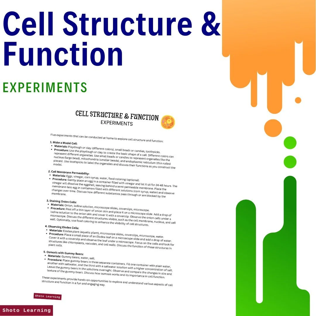 Cell Structure & Function Test - 45-Minute Biology Assessment