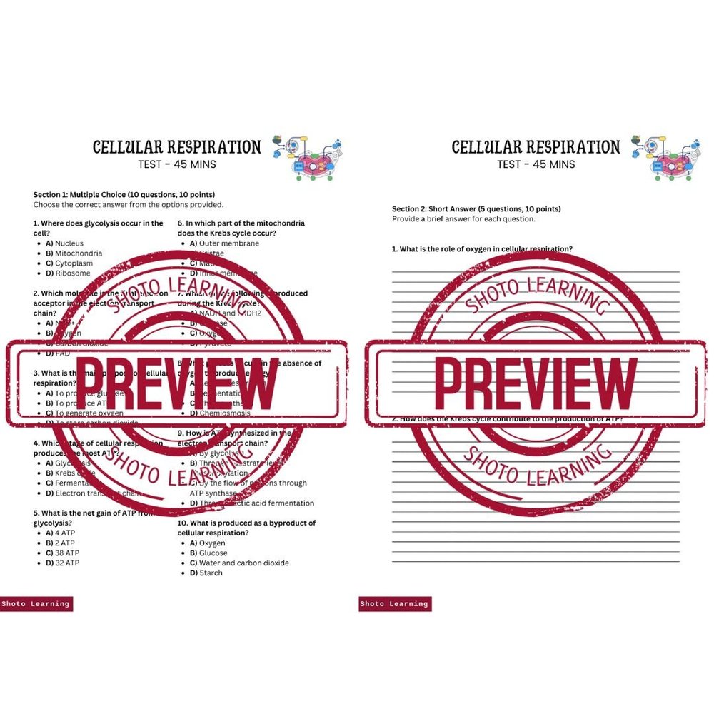 Cellular Respiration Label Worksheet | Word Box & Answer Key