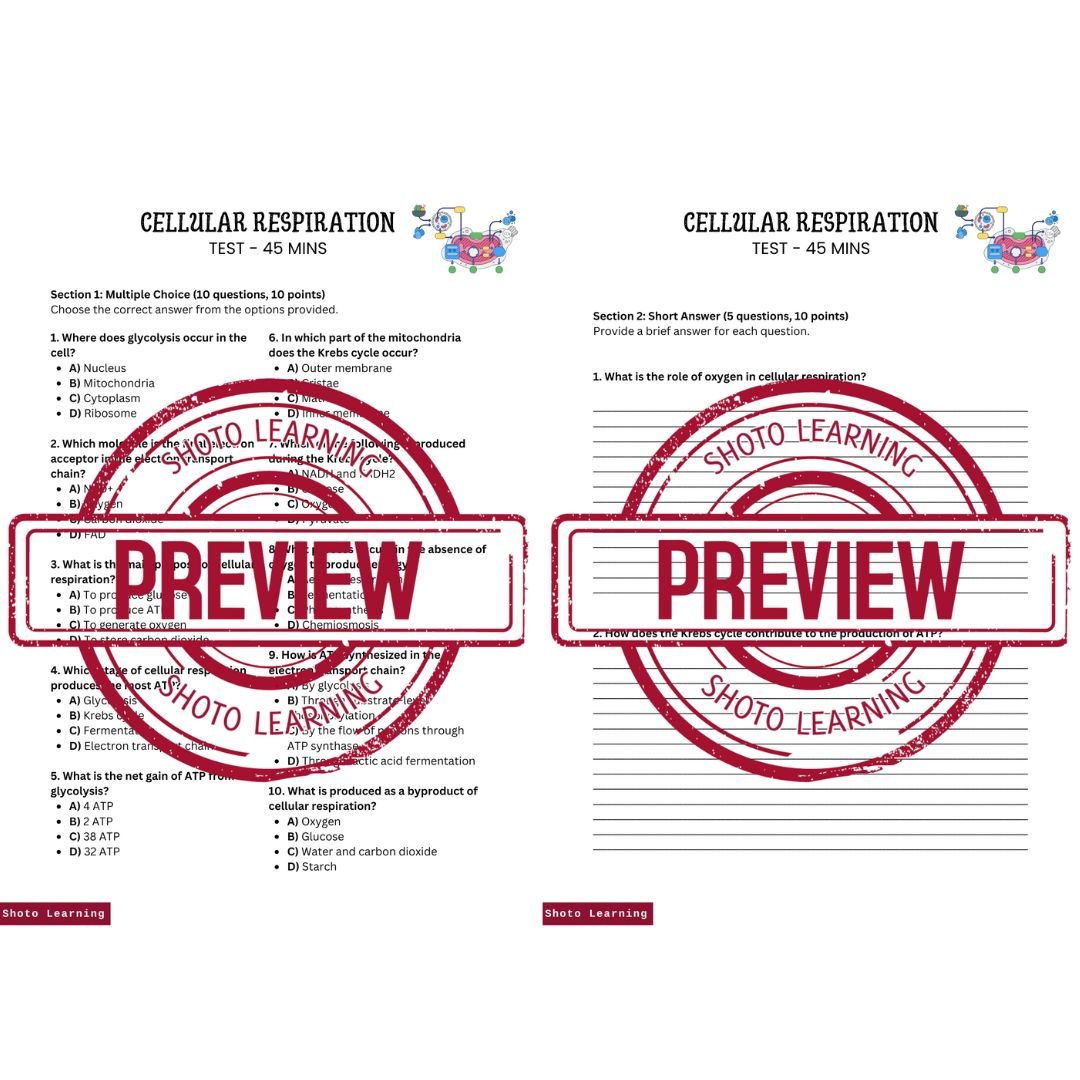 Cellular Respiration Label Worksheet | Word Box & Answer Key