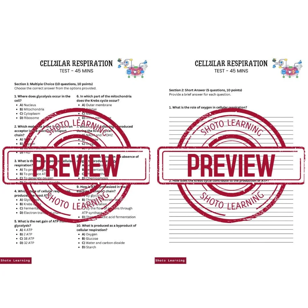 Cellular Respiration Label Worksheet | Word Box & Answer Key