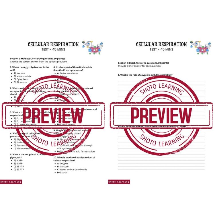 Cellular Respiration Label Worksheet | Word Box & Answer Key