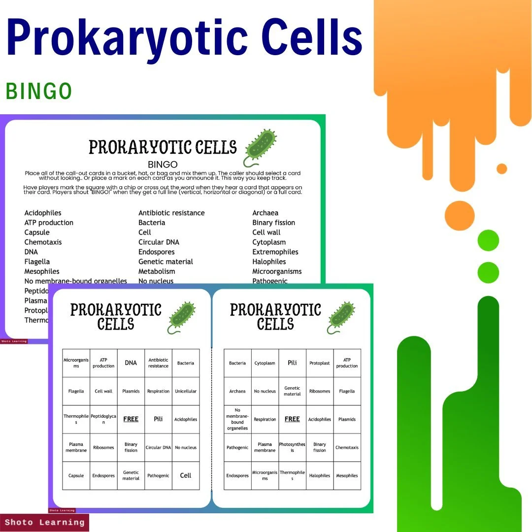 Prokaryotic Cells: PowerPoint, Speech, Video