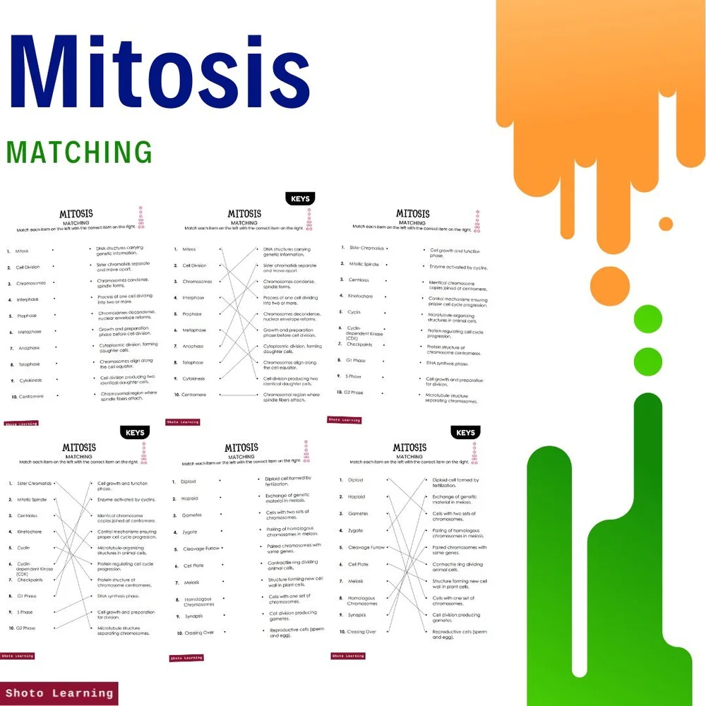 Mitosis Mastery: Your Ultimate Reading Comprehension Guide