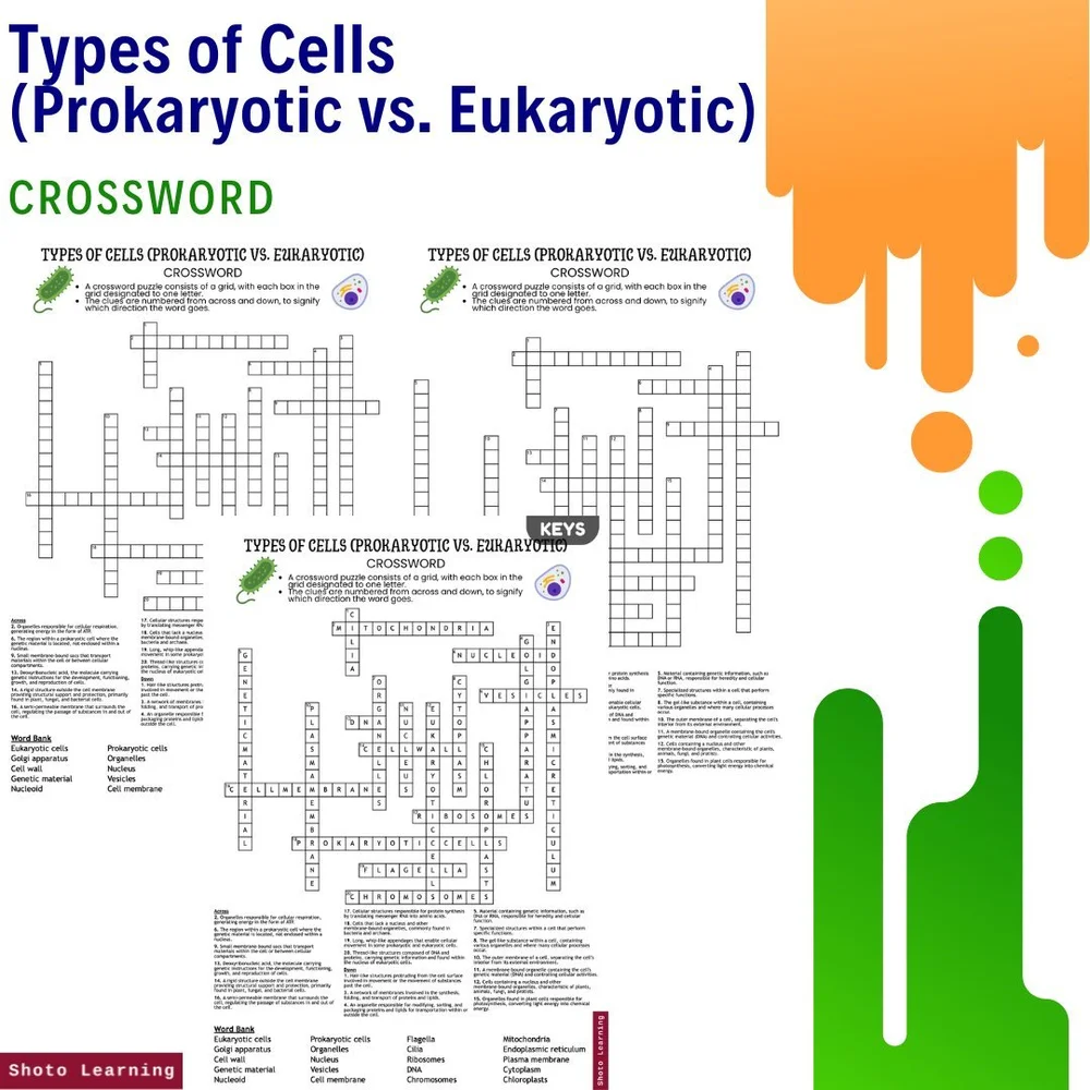 Grade 7 Science Worksheet – Prokaryotic vs Eukaryotic