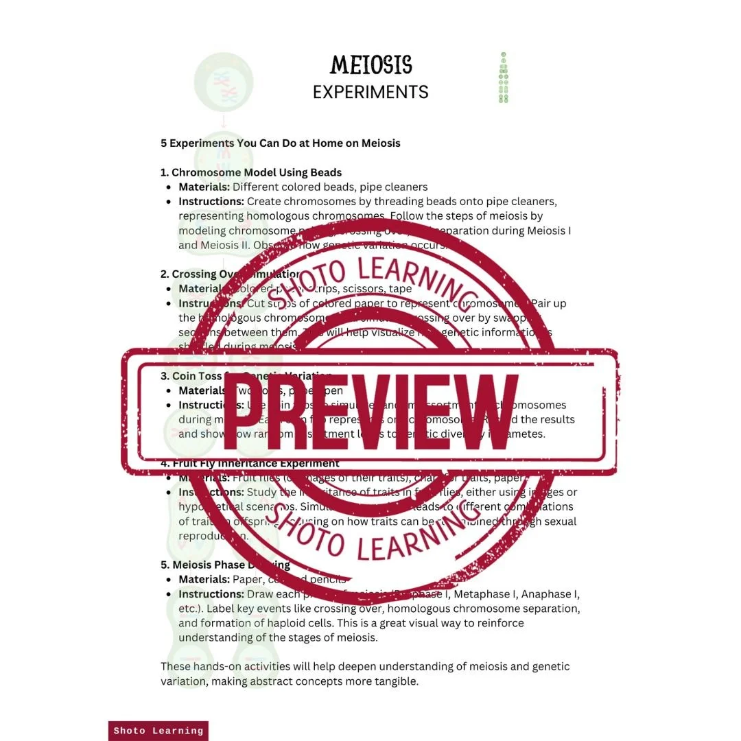 Meiosis Worksheet: 20 Fill-in-the-Blank Questions + Answer Key