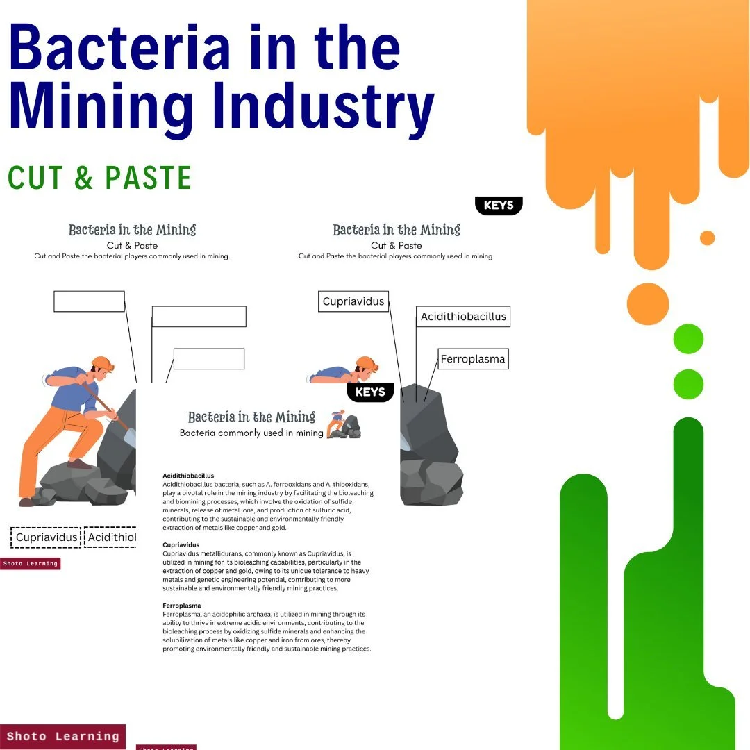 Bacterial Mining Quest: Discover Microbes in Mining | Word Search
