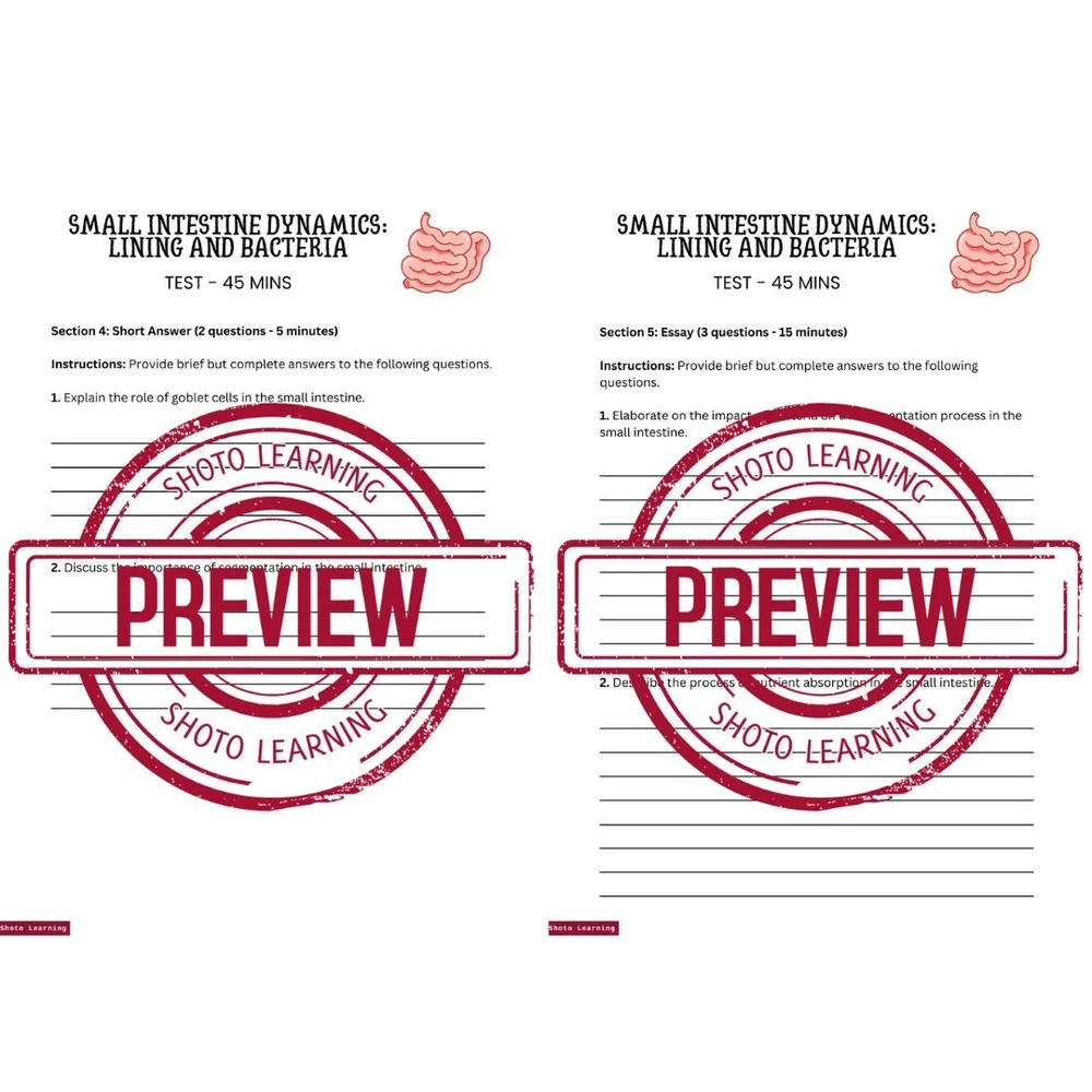 Small Intestine Word Search: Lining & Bacteria Puzzle