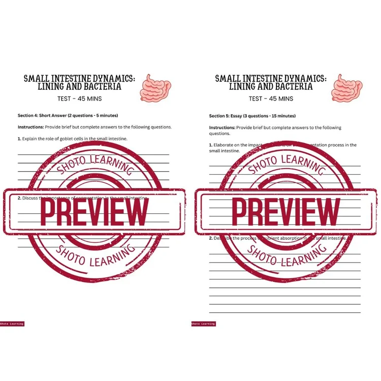 Small Intestine Word Search: Lining & Bacteria Puzzle