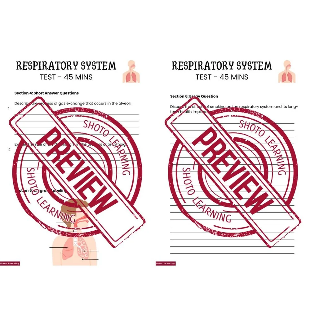 Respiratory System Worksheet: Reading & Comprehension