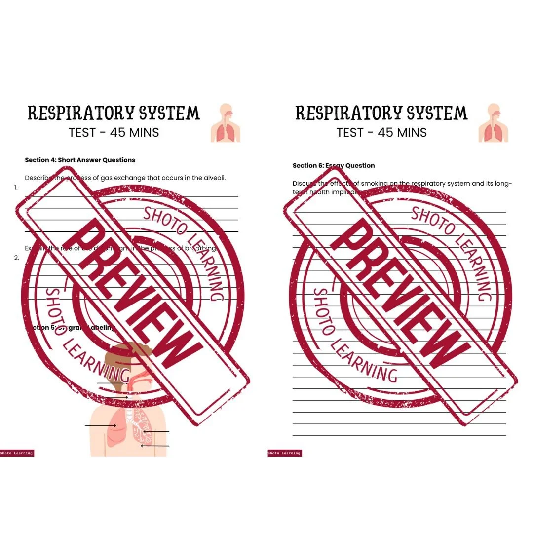 Respiratory System Diagram: Fill in the Blanks and Learn