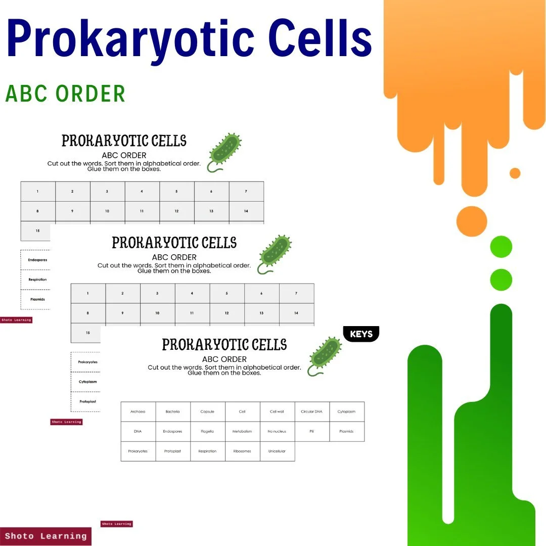 Prokaryotic Cell Q&A Mastery: 20 Questions & Answers