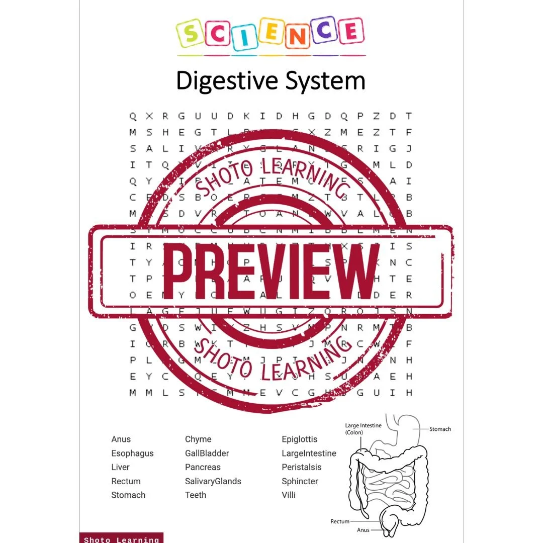 Digestive System Word Search - Fun & Educational for Kids