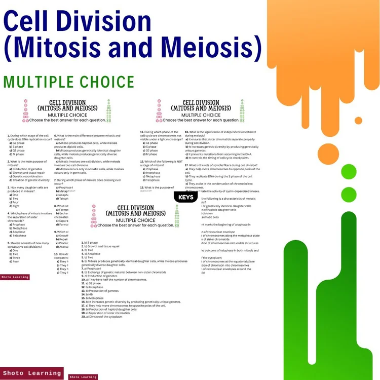Mitosis vs Meiosis Poster: Visual Guide to Cell Division
