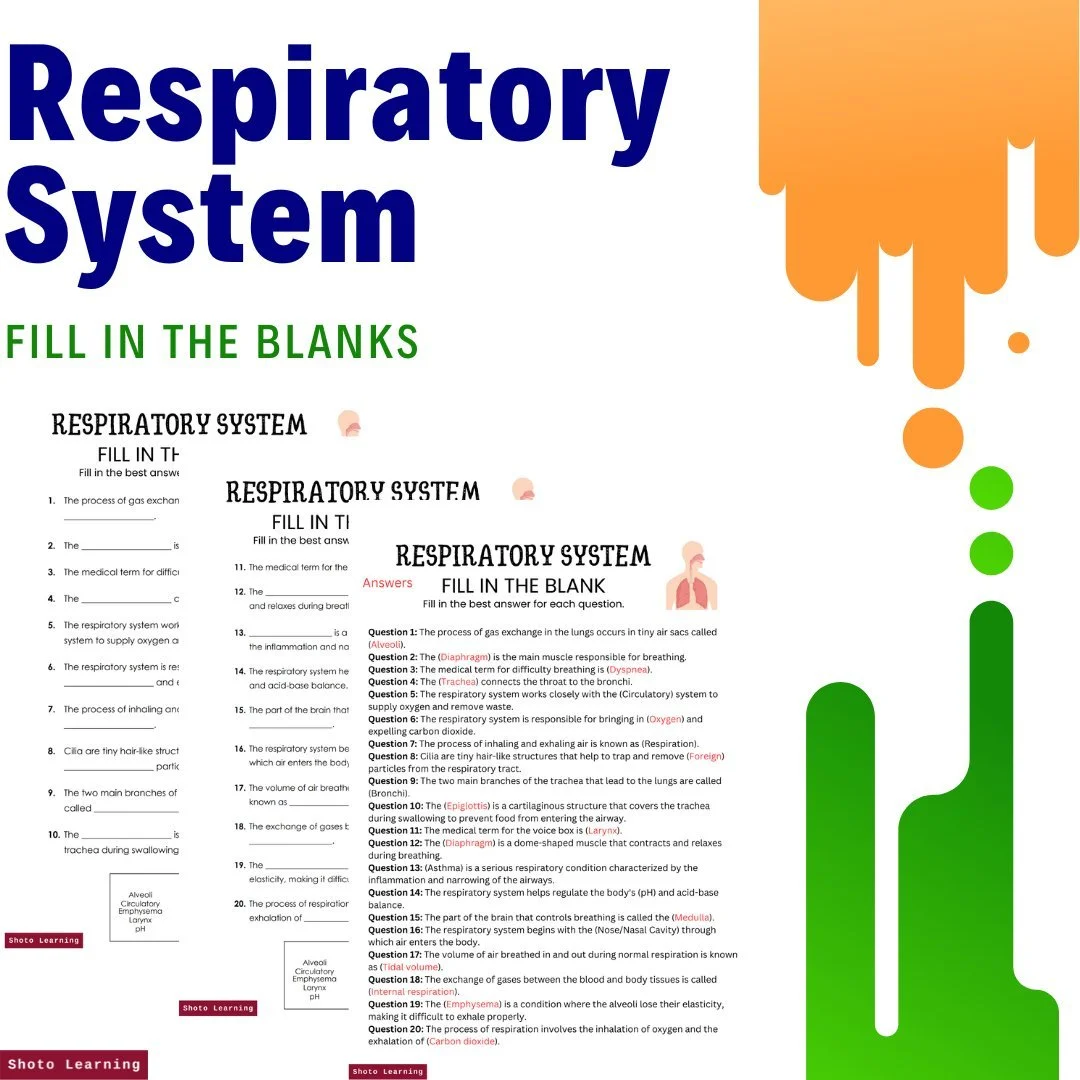 Respiratory System Diagram: Fill in the Blanks and Learn
