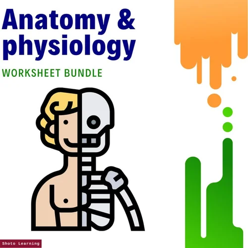 Human Biology Explorers: Anatomy & Physiology Lesson Plan