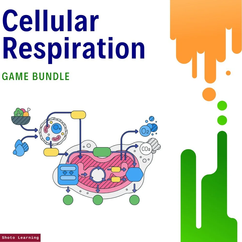 Cellular Respiration Label Worksheet | Word Box & Answer Key