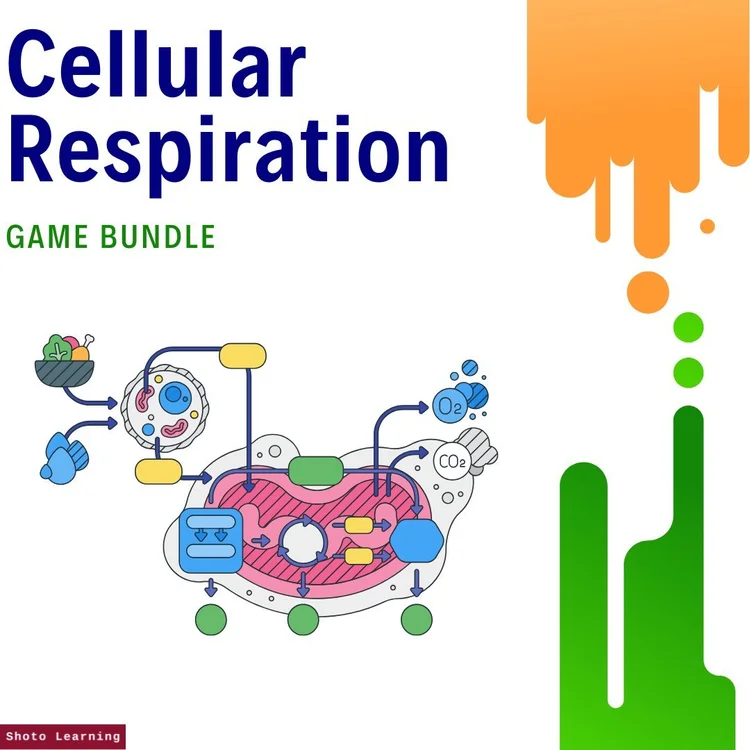 Cellular Respiration Label Worksheet | Word Box & Answer Key