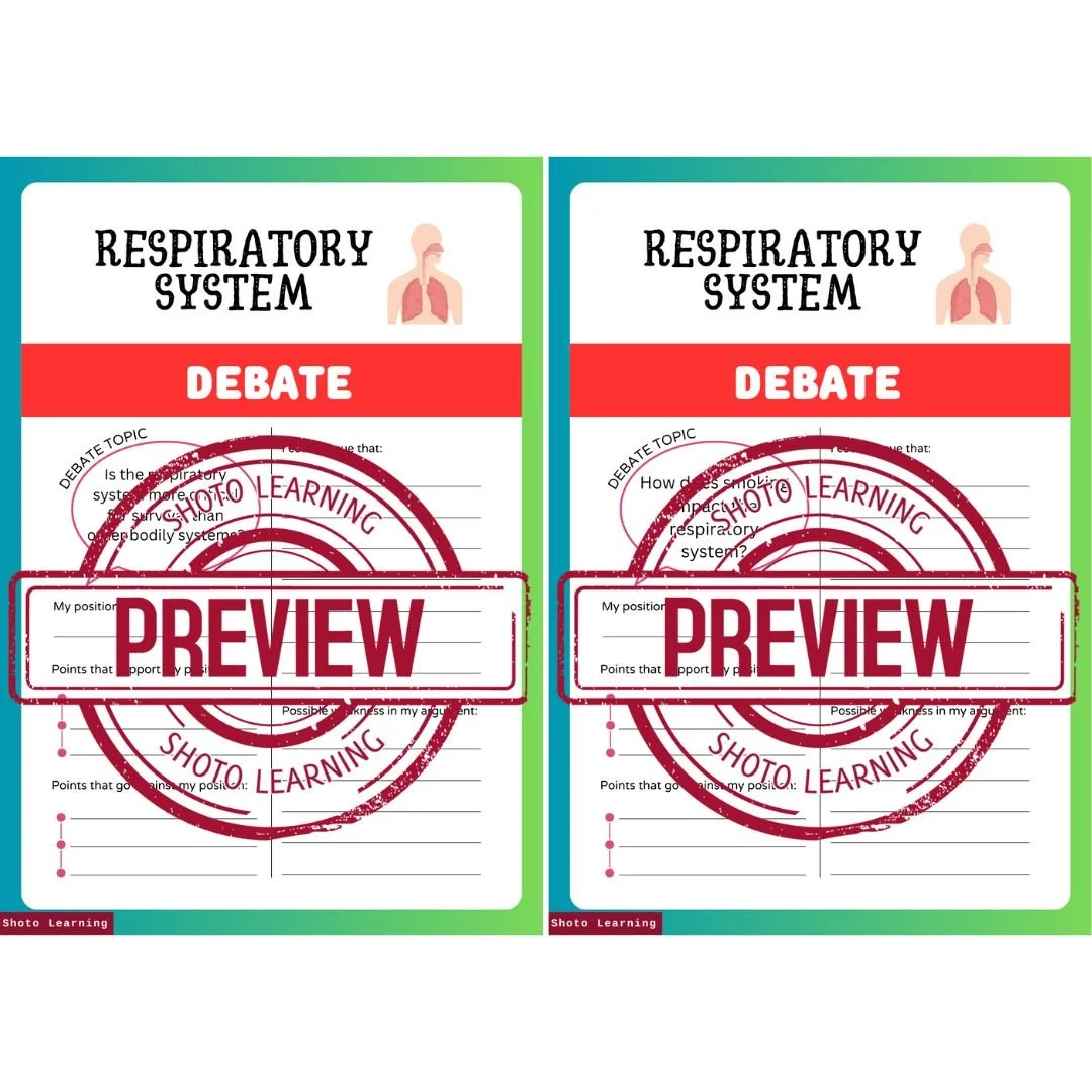 Respiratory System Poster: Learn Anatomy & Function | Free Download
