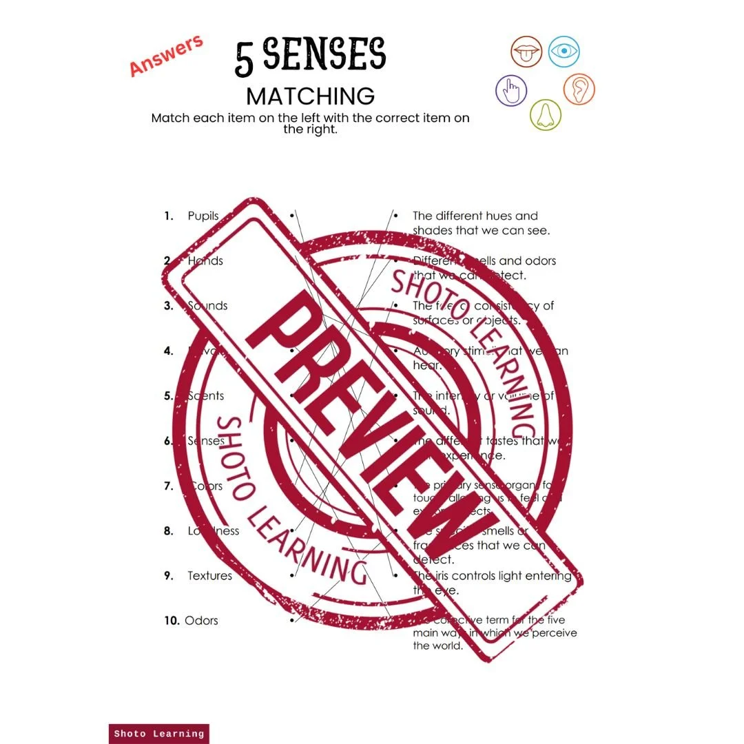 5 Senses Science Bundle: Word Find & Scramble Game