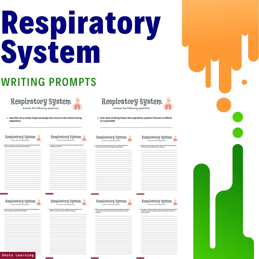 Respiratory System Diagram: Fill in the Blanks and Learn