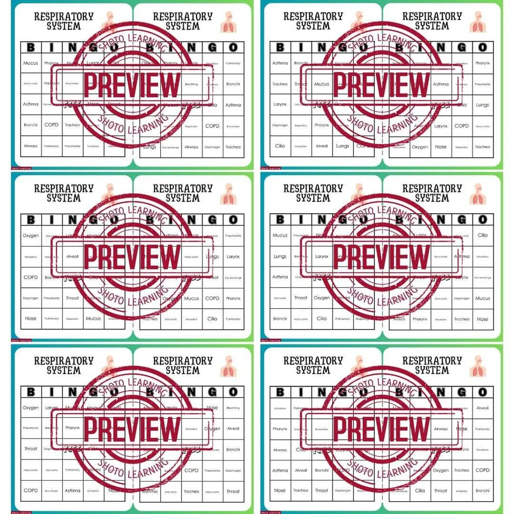Respiratory System Diagram: Fill in the Blanks and Learn