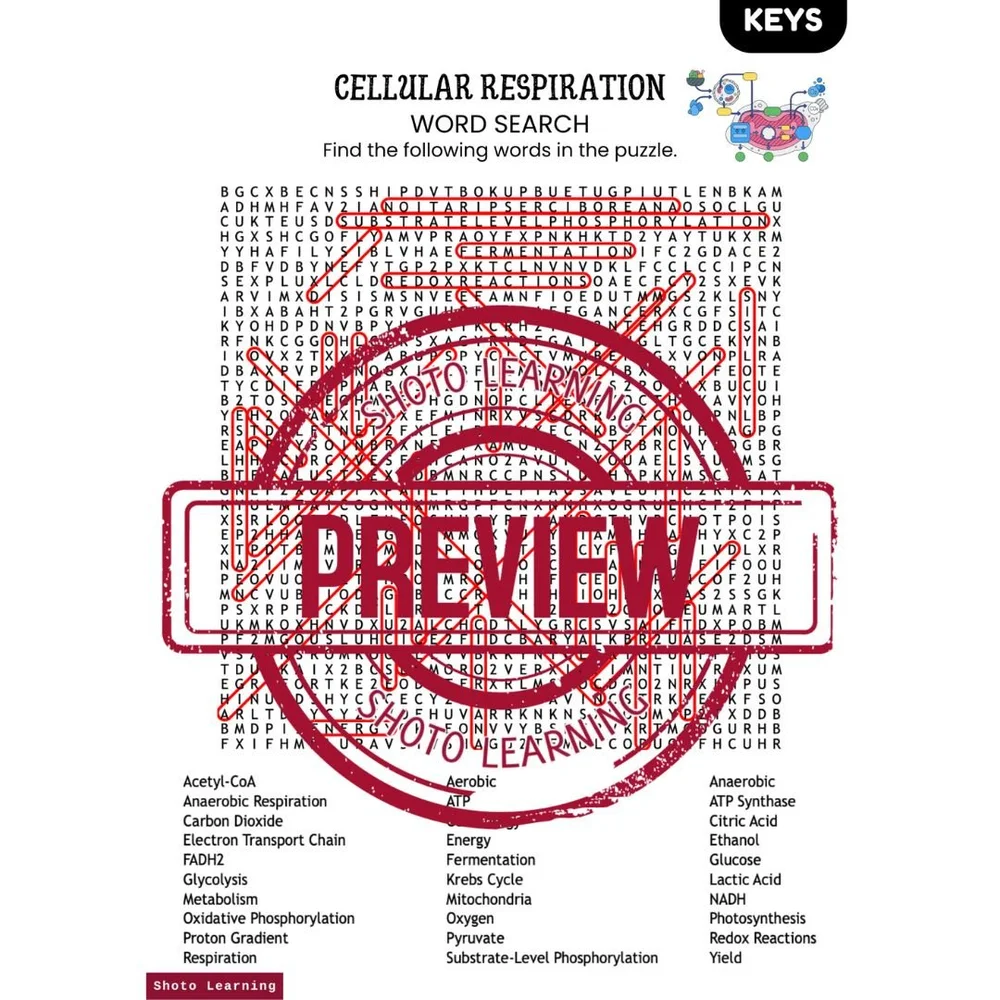 Cellular Respiration ABC Order Worksheets – 21 Key Terms & Answer Key
