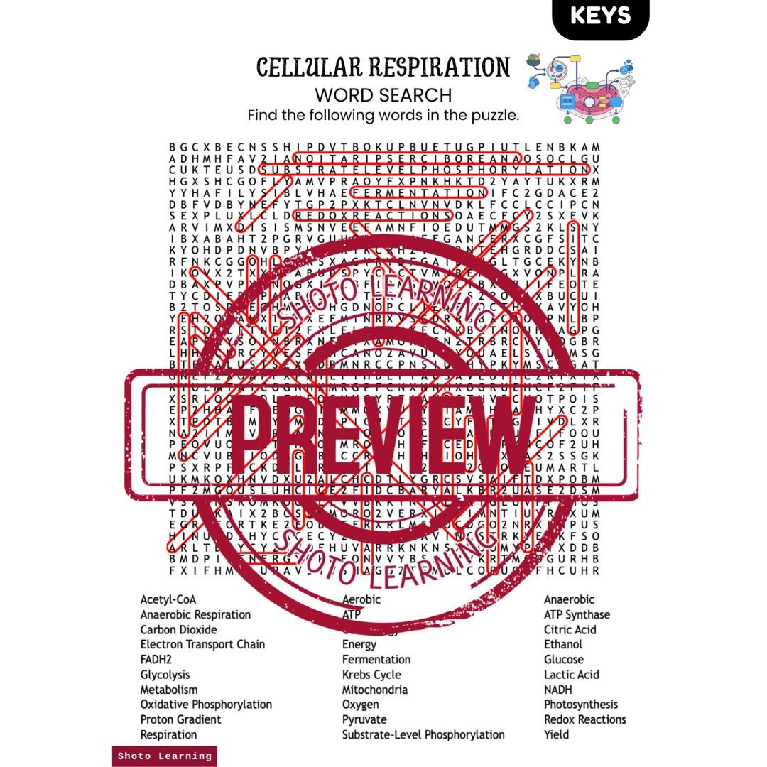 Cellular Respiration Debate Pack – 10 Debates + Answers Included