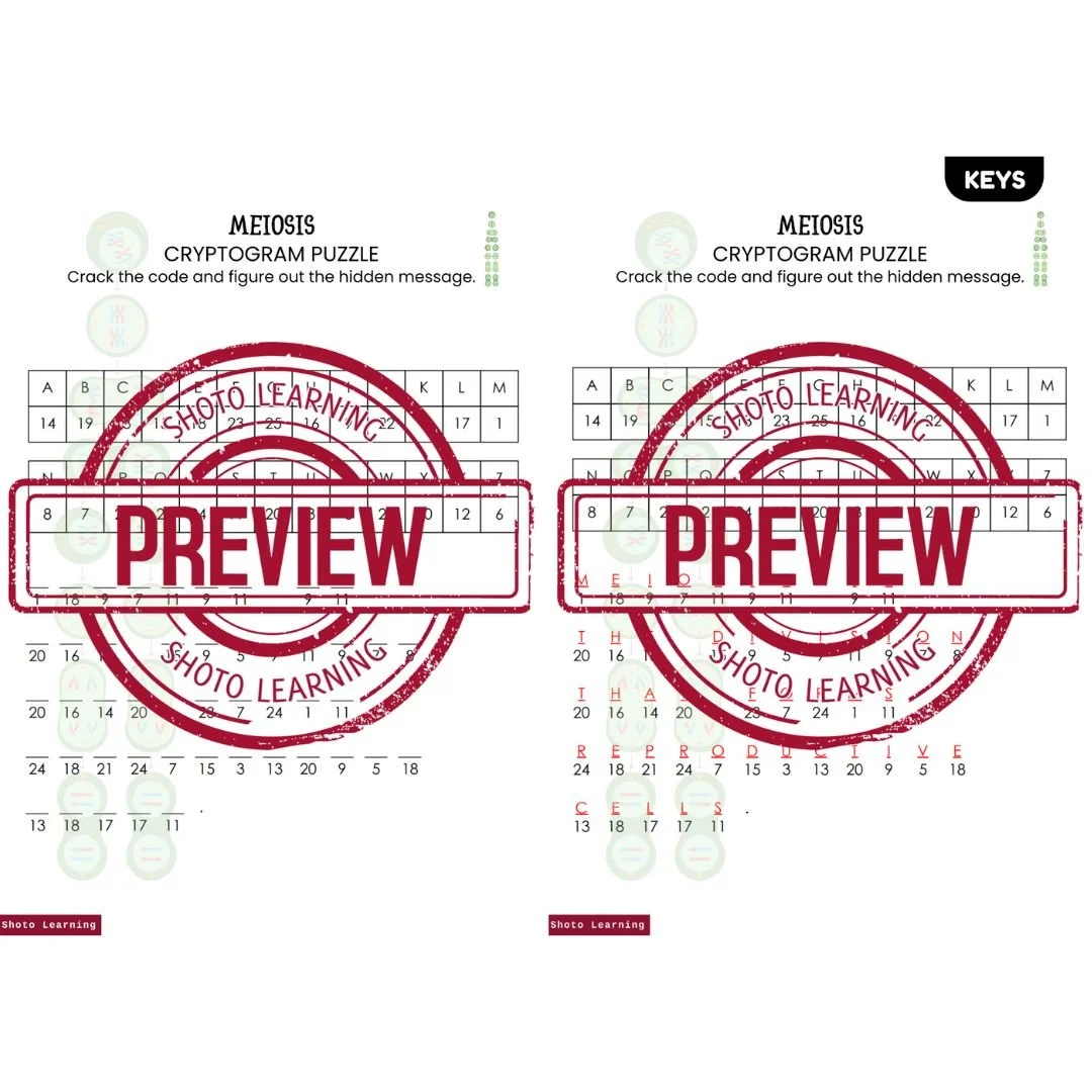 Meiosis Process Poster – Visual Cell Division Guide | PDF Download
