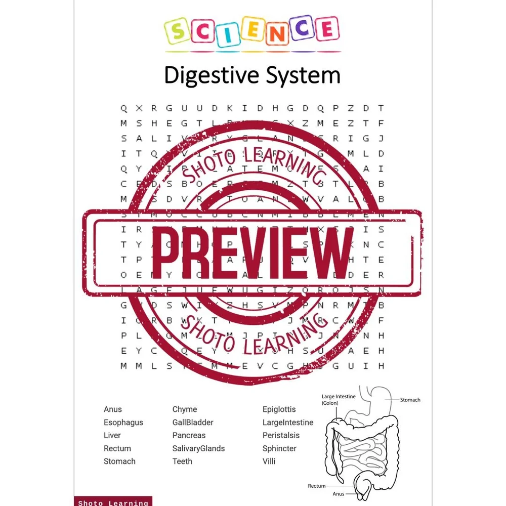Digestive System Vocabulary Scramble Activity Worksheet