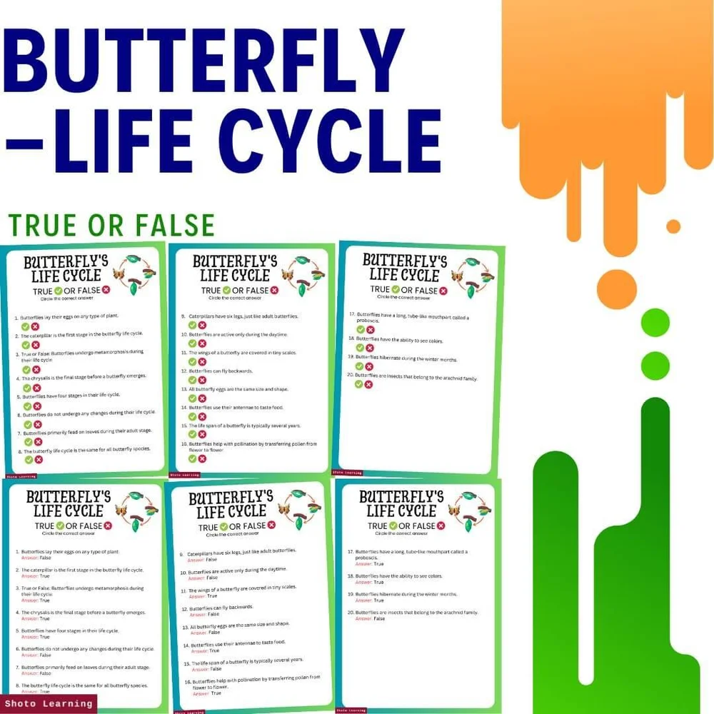Butterfly Life Cycle Multiple Choice Worksheets Set of 20