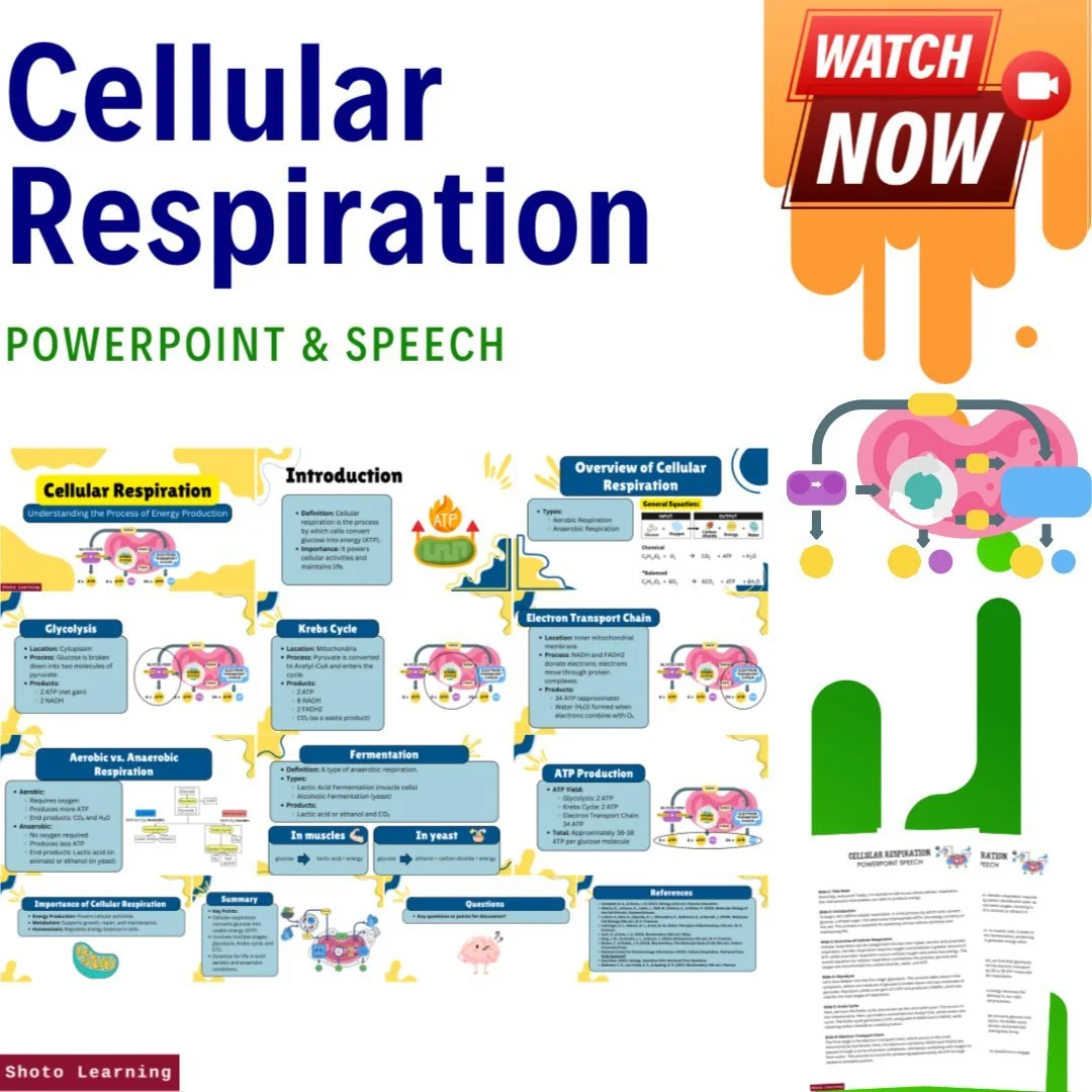 Cellular Respiration Label Worksheet | Word Box & Answer Key