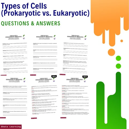 Biology Worksheet Bundle: Prokaryotic vs Eukaryotic Cells