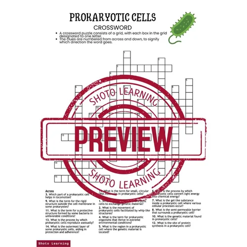 Prokaryotic Cell Q&A Mastery: 20 Questions & Answers