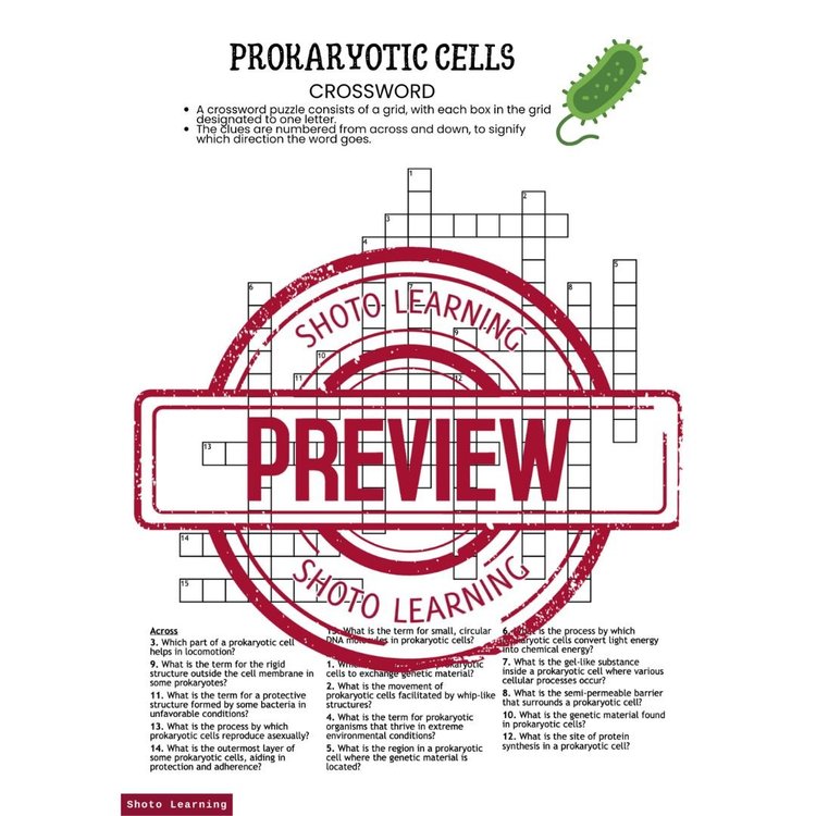 Prokaryotic Cell Q&A Mastery: 20 Questions & Answers