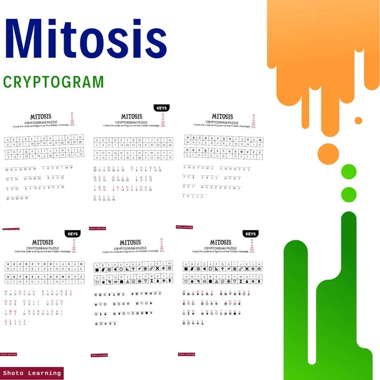 Unveiling Mitosis Poster - Educational Cell Division Chart
