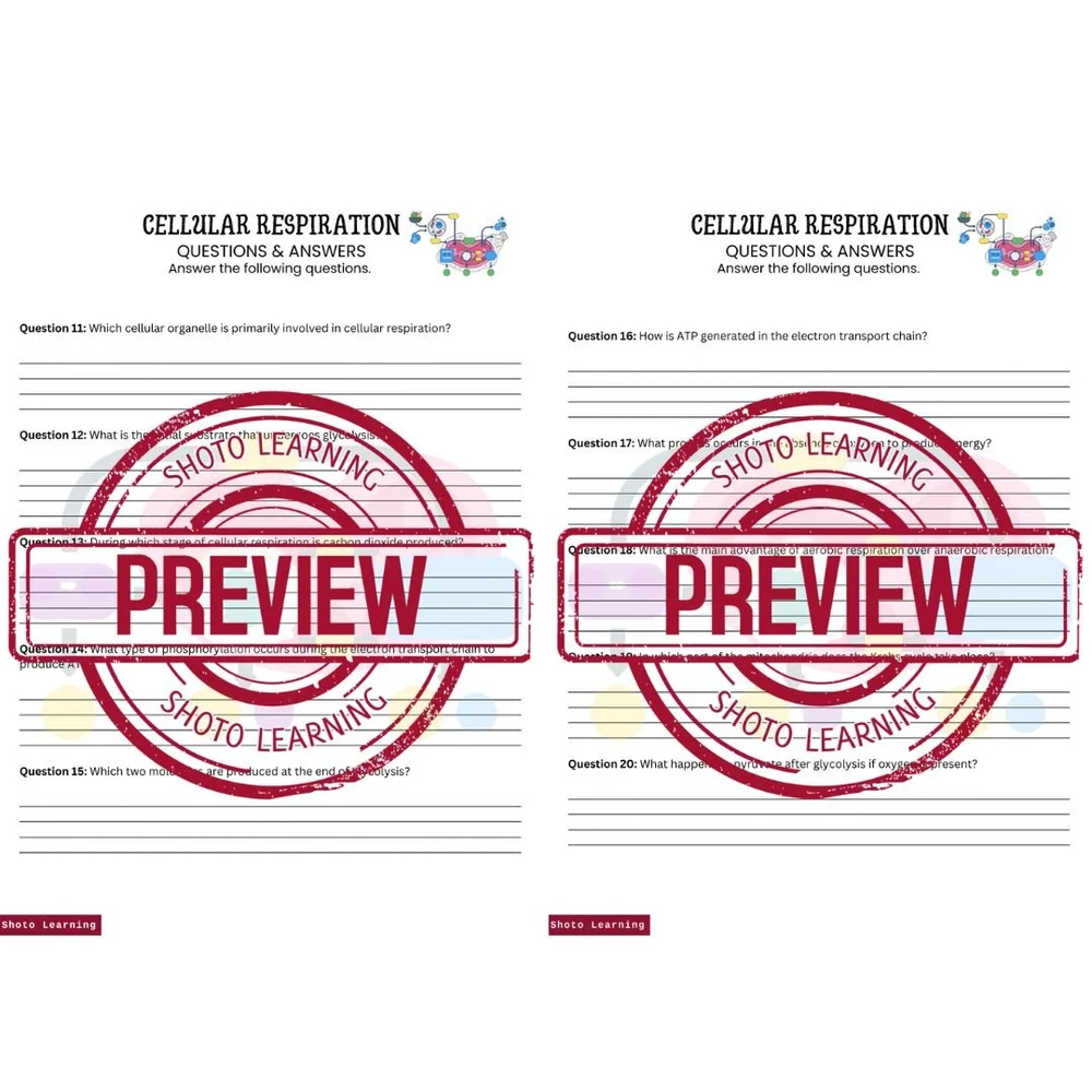 Cellular Respiration Label Worksheet | Word Box & Answer Key