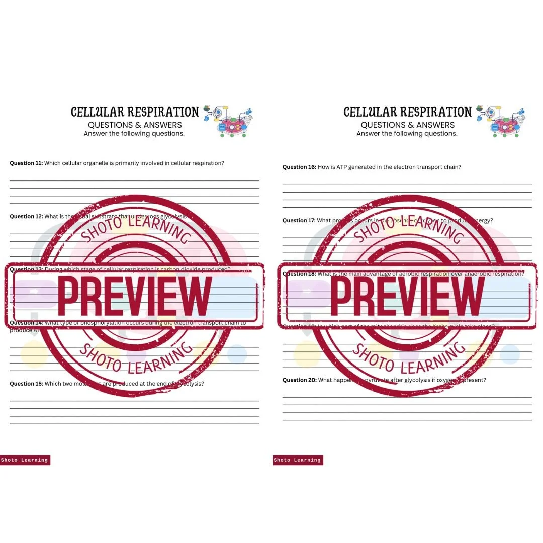 Cellular Respiration Label Worksheet | Word Box & Answer Key