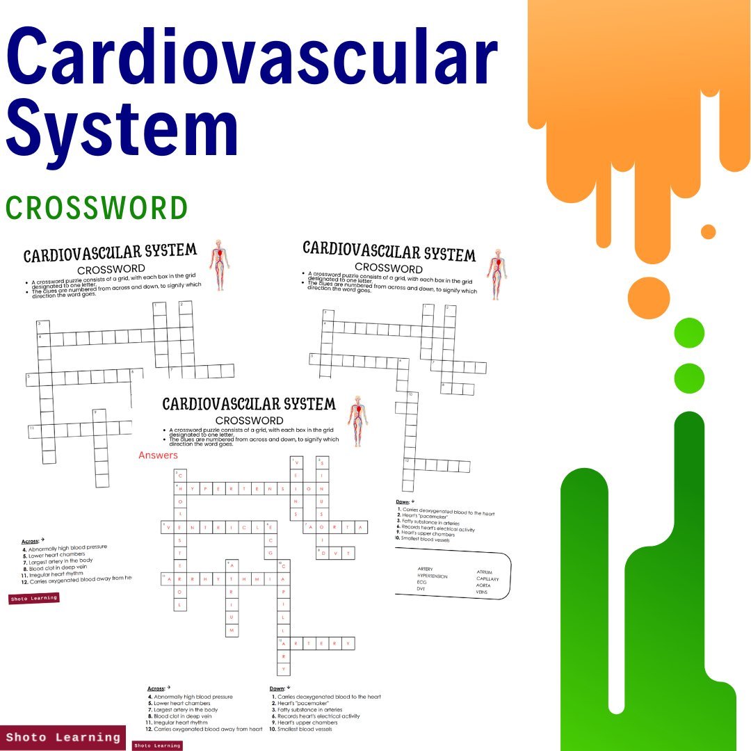 Cardiovascular System Word Search: Fun Circulatory Challenge