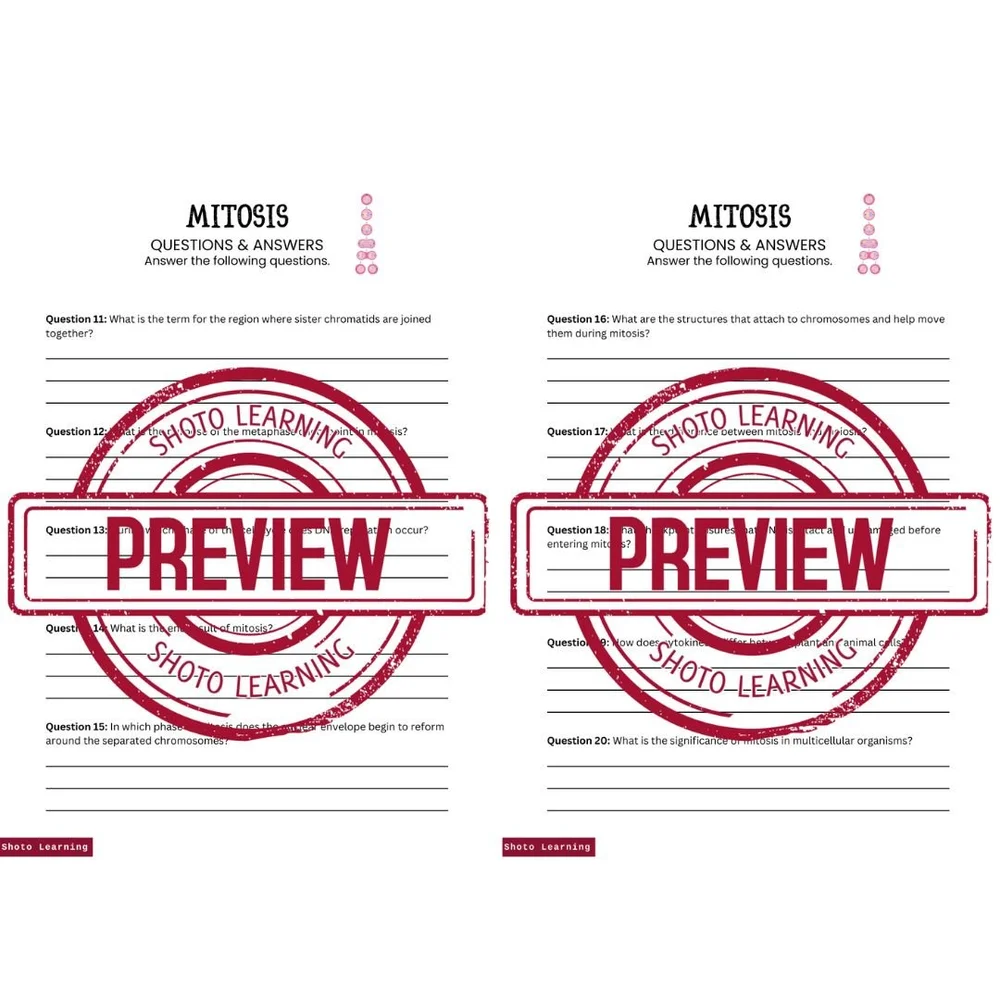 Unveiling Mitosis Poster - Educational Cell Division Chart
