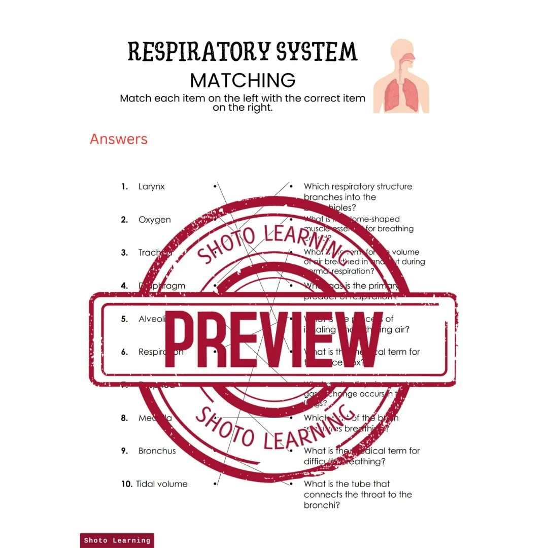 Respiratory System Diagram: Fill in the Blanks and Learn