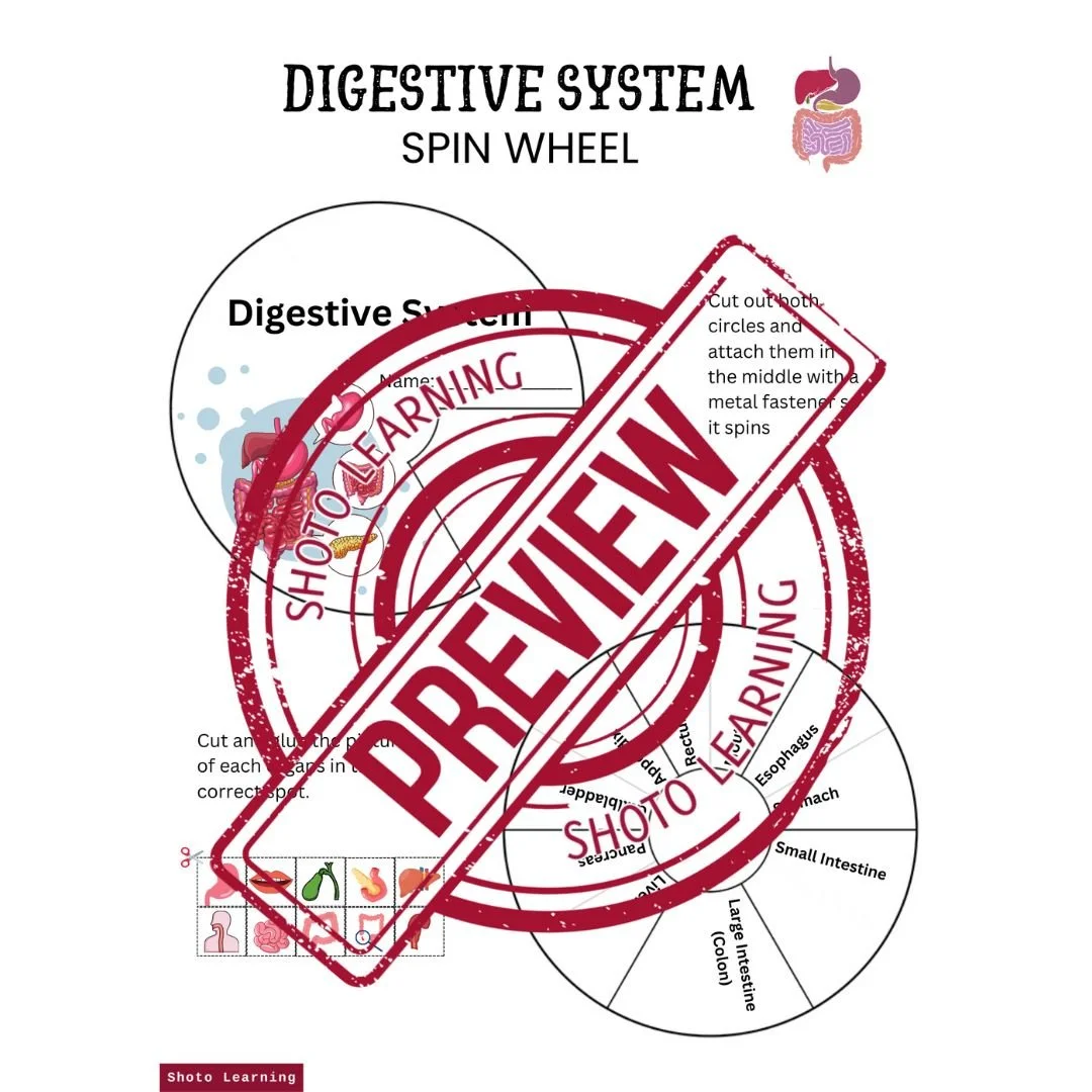 Digestive System Vocabulary Scramble Activity Worksheet