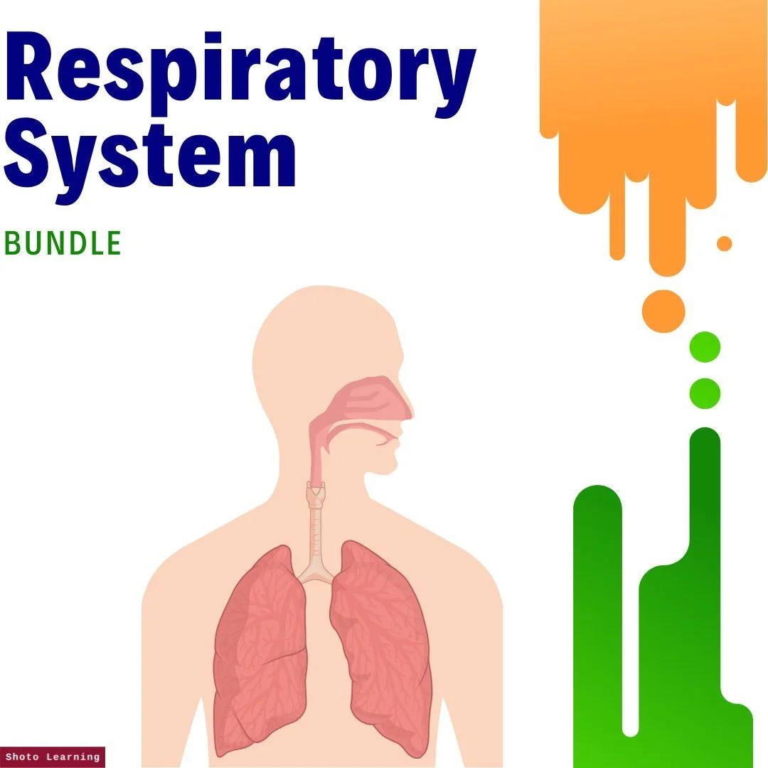 Respiratory System Diagram: Fill in the Blanks and Learn