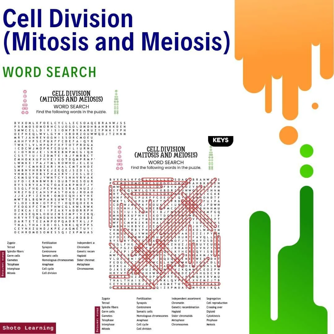 Cell Division And Reproduction Crossword Puzzle Answers